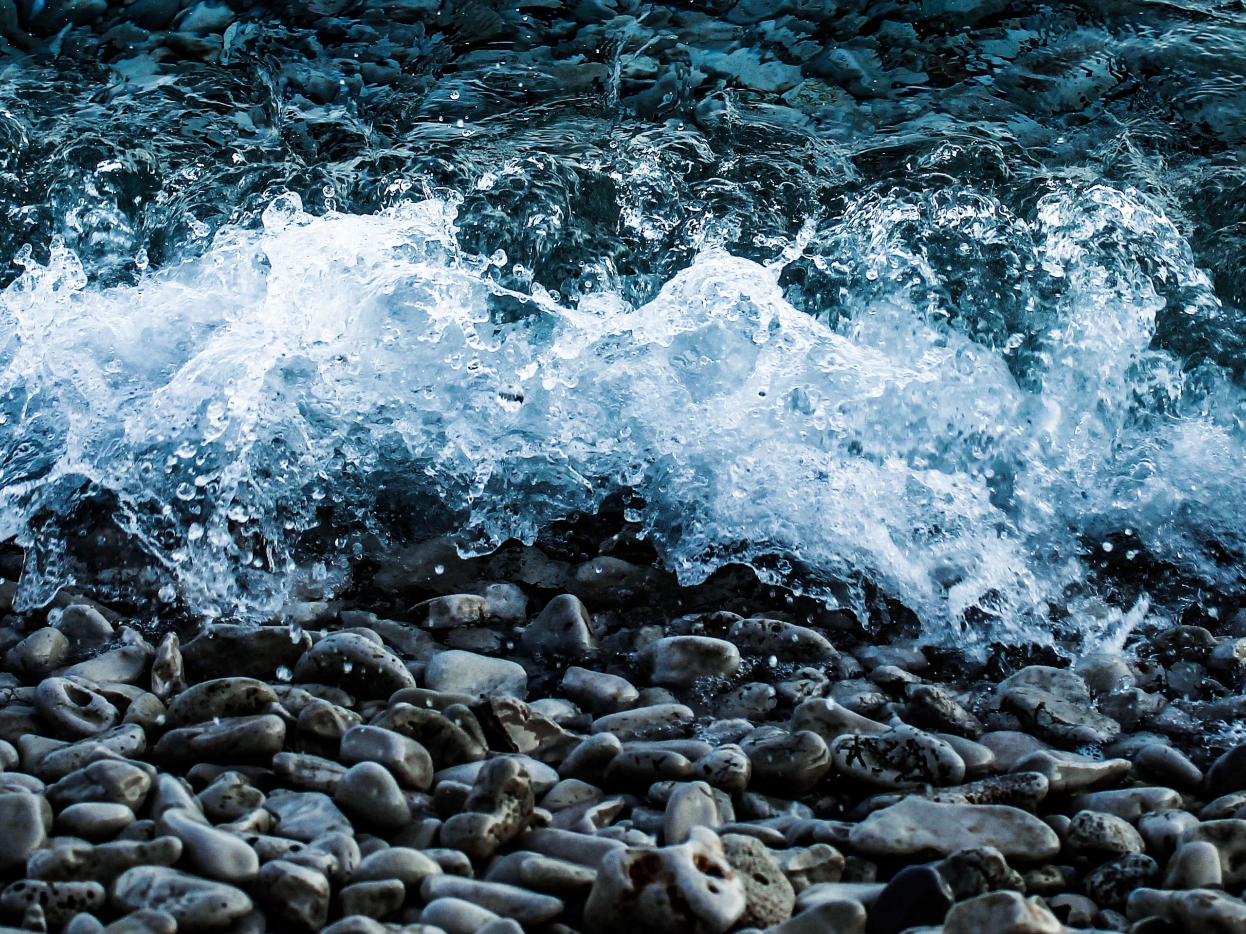 Ocean Day: This is how you can actively contribute to ocean protection ...