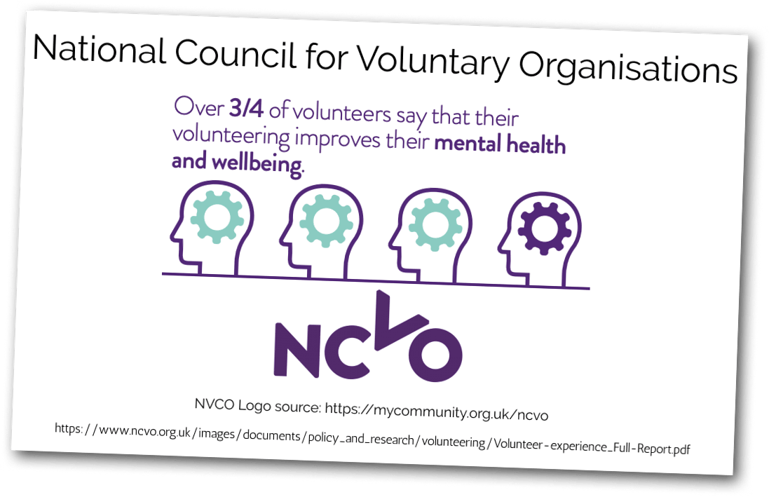 V for Volunteer | Devpost