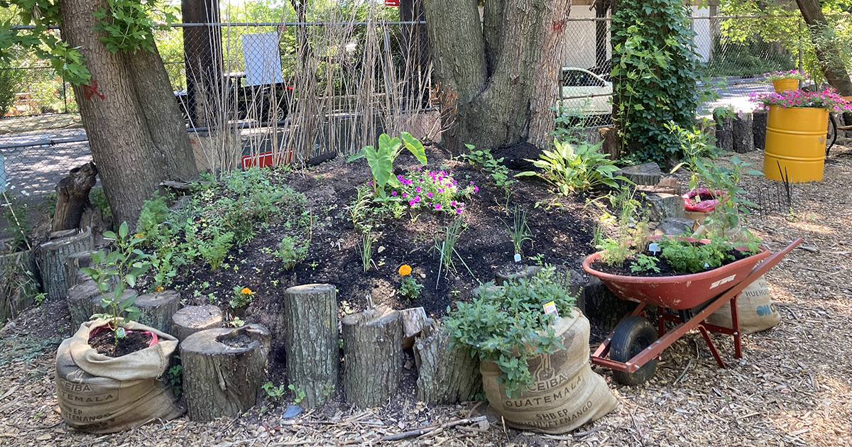 The Compost Collective