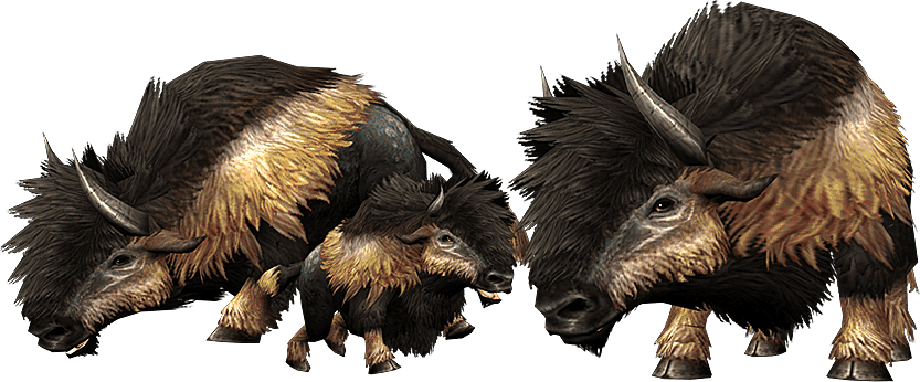 Burukku — Frontier's Wycademy