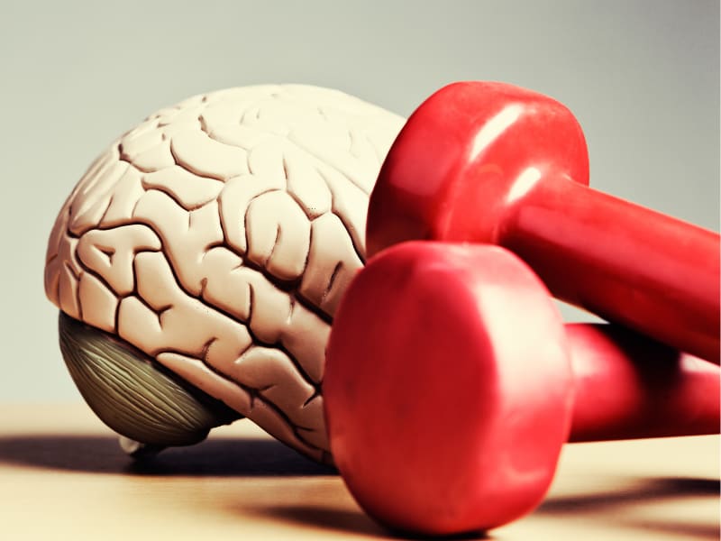 Brain Power Workout – Michele Lanciani