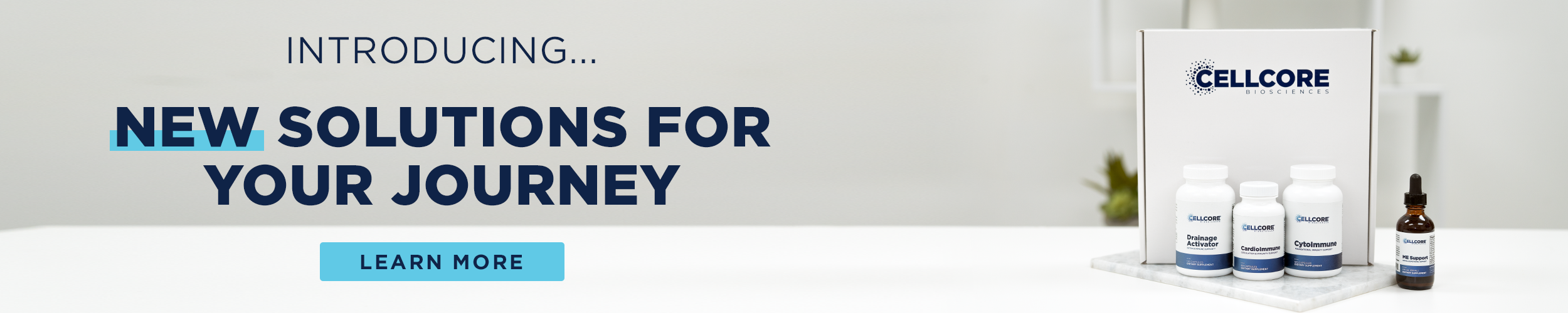 Detox Supplements - Gut Health Supplements - CellCore Biosciences