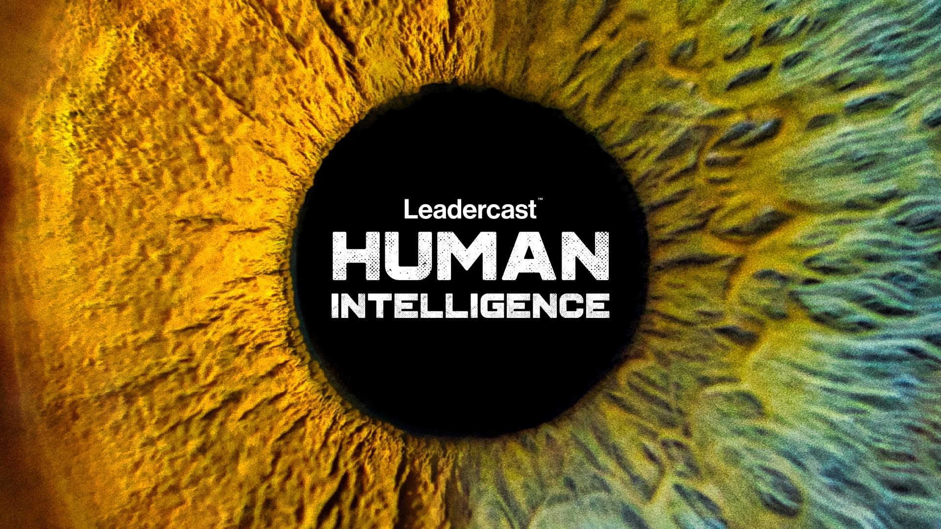 Leadercast 2023: Human Intelligence - Event Registration