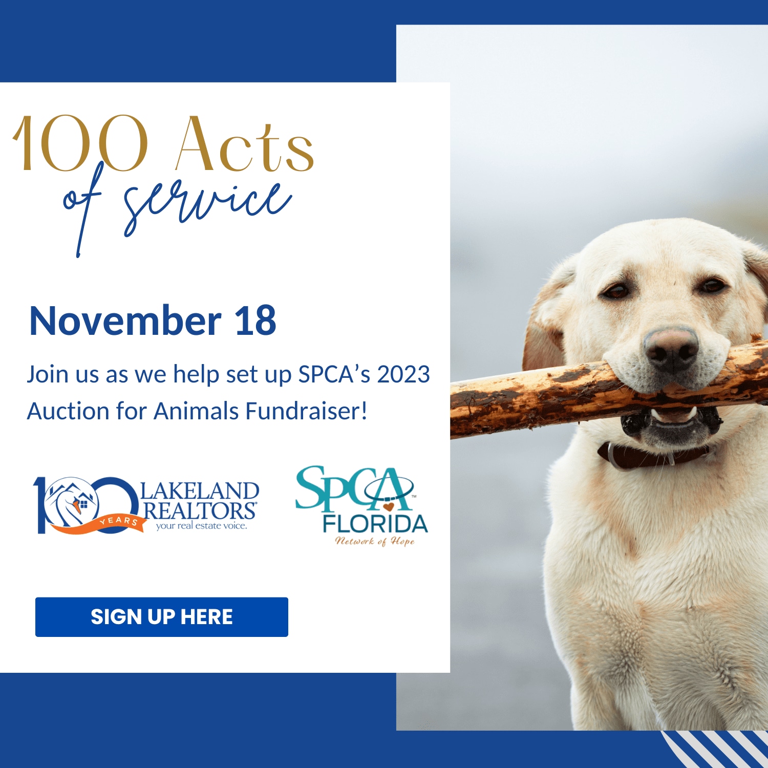 Community Outreach Day with SPCA | Lakeland Board Of Realtors