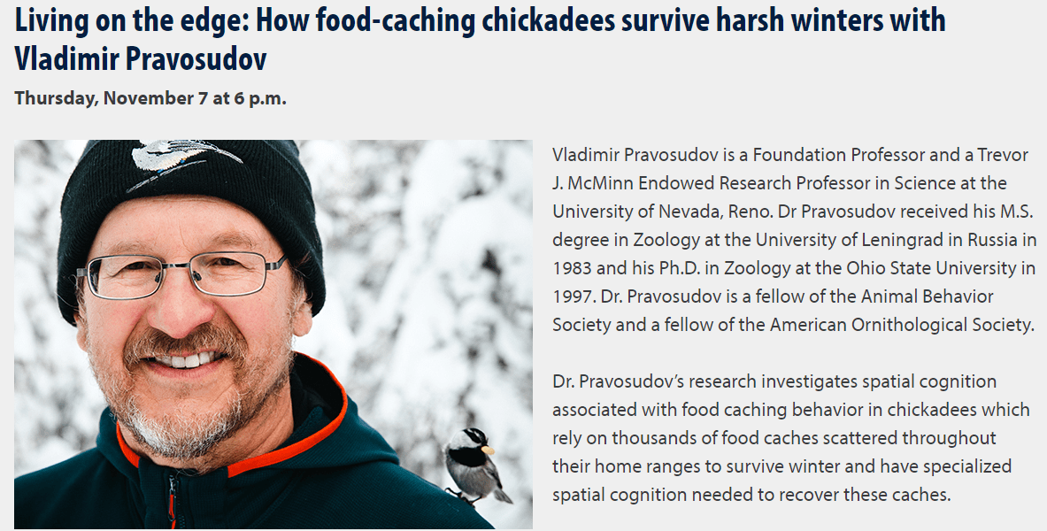 Living on the Edge - How Food-Caching Chickadees survive harsh winter IVCBA Living on the Edge - How Food-Caching Chickadees survive harsh winter IVCBA