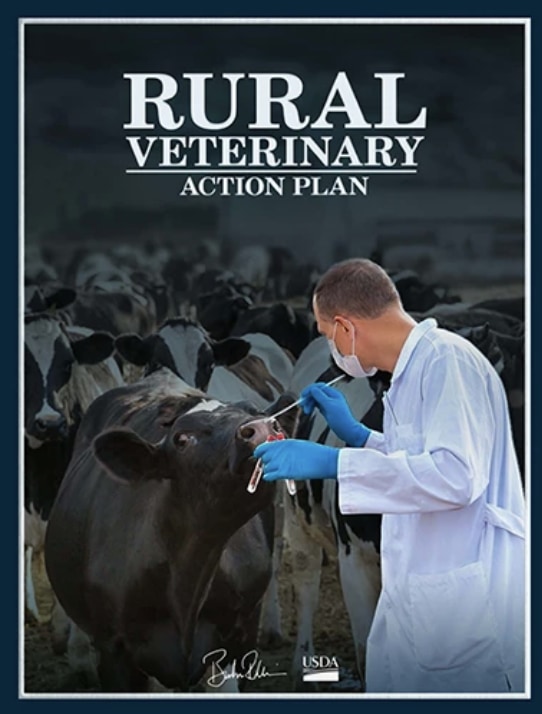 USDA announces plan to address rural, federal veterinary shortages ...