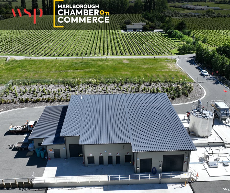 Christmas Business after 5 Event hosted by WSP - Marlborough Chamber of ...