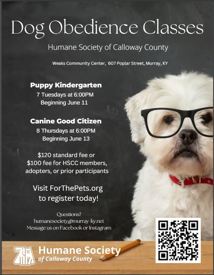 Dog Obedience Class - Murray-Calloway County Chamber of Commerce