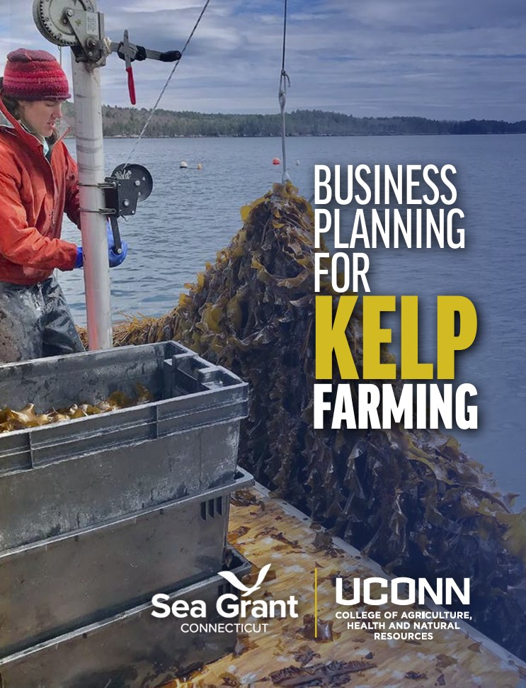 Comprehensive Business Guide for Kelp Farming Now Available Default ...