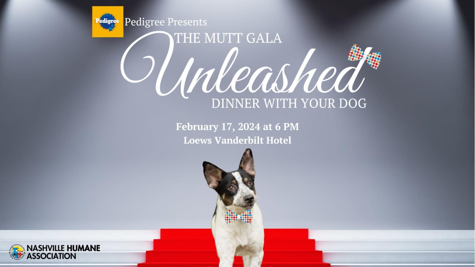 Unleashed Dinner with your Dog