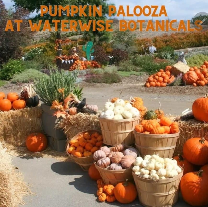 Pumpkin Palooza - Fallbrook Chamber of Commerce