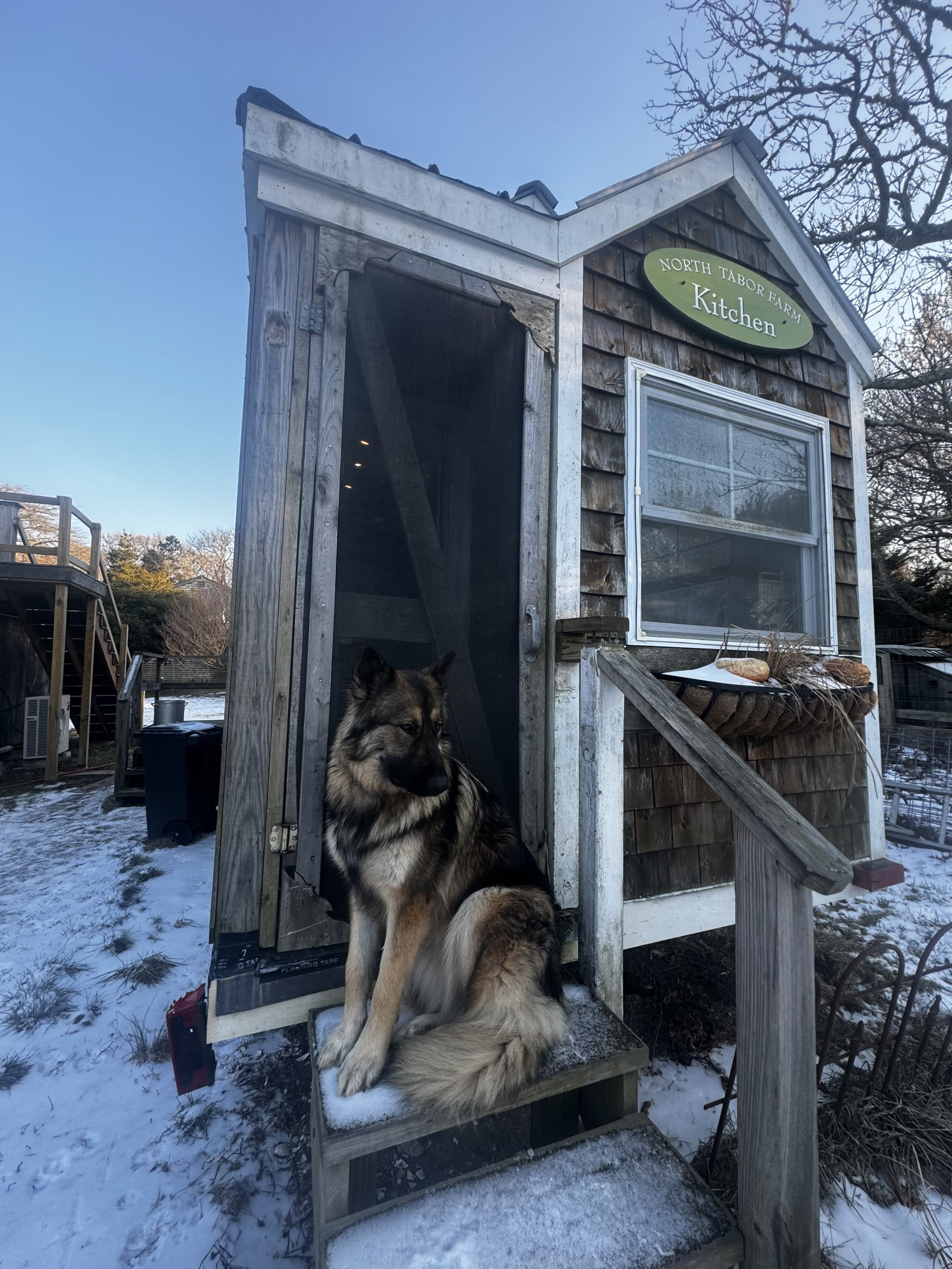 Lead Cook for North Tabor Farm Kitchen - Martha's Vineyard - Plan Your ...