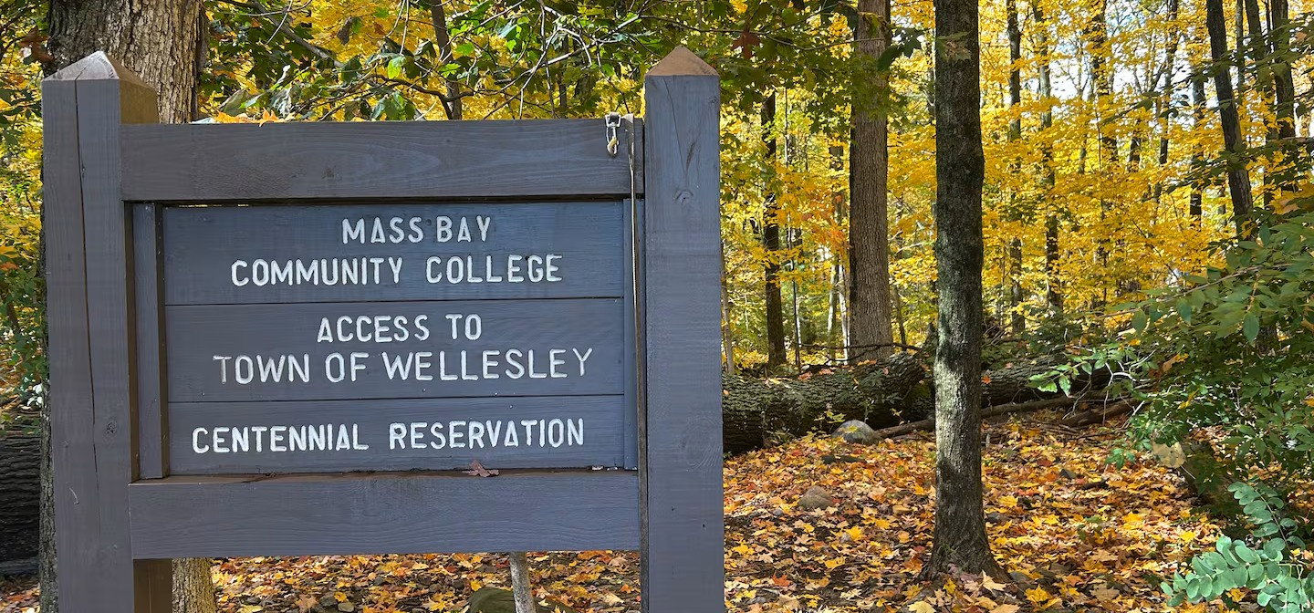 At last, a rational voice in the MassBay mess - default - Charles River ...