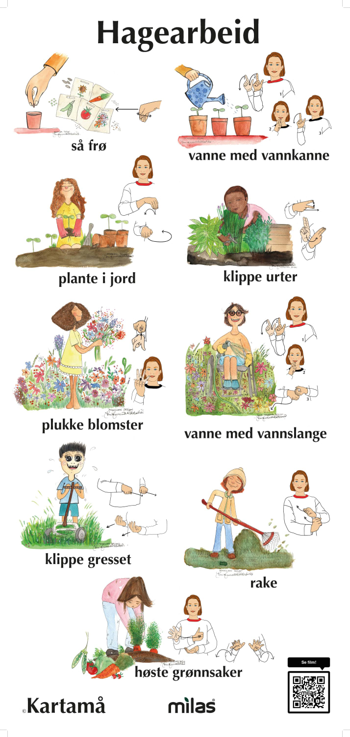 Språkutvikling og språkstimulerende materiell for barnehage og skole | Milas