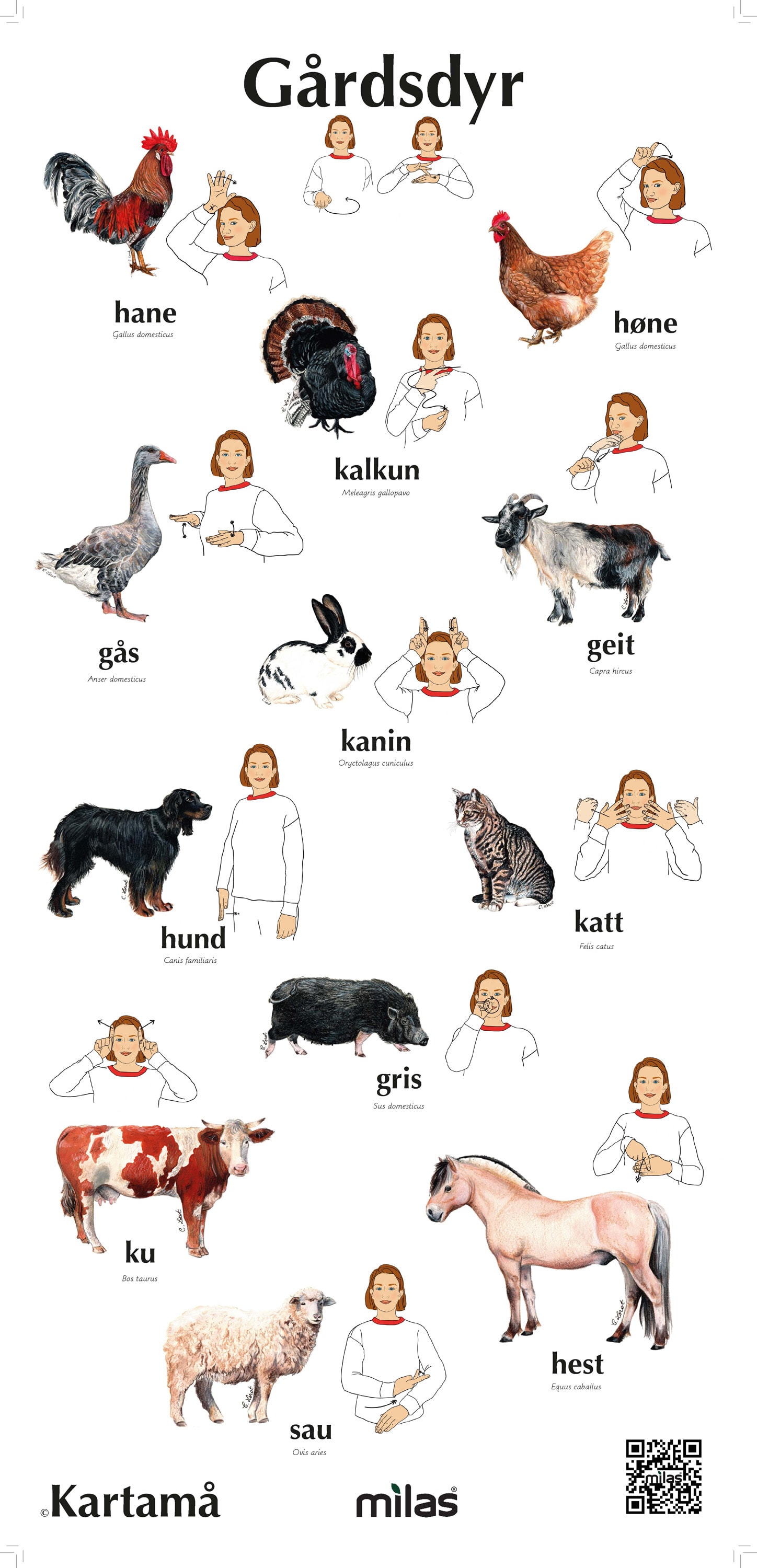 Tegn til tale, Gårdsdyr