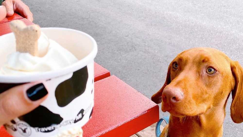 Moomers Homemade Ice Cream | Michigan