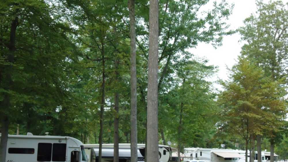 Pine Ridge RV Resort & Campground | Michigan