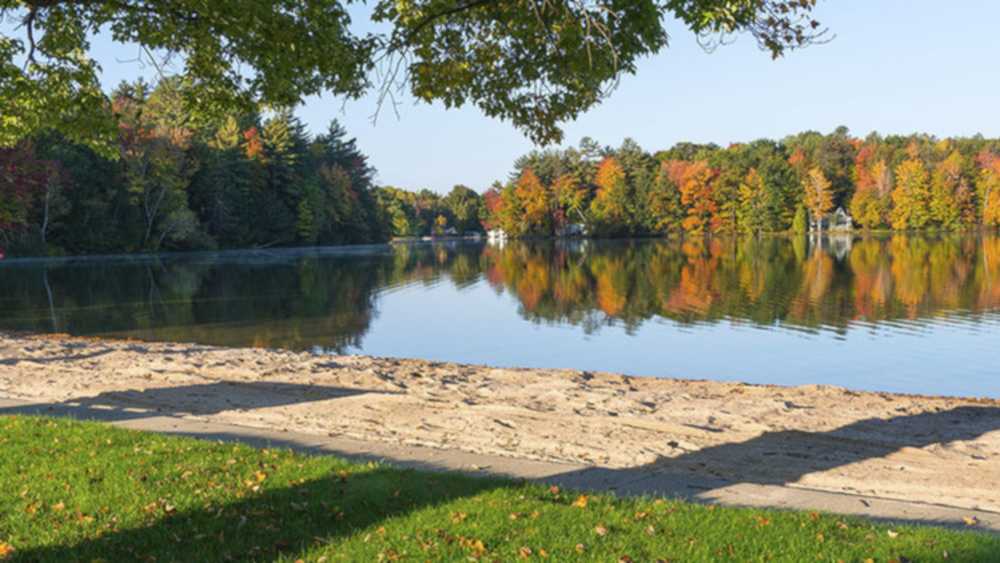 School Section Lake Park | Michigan