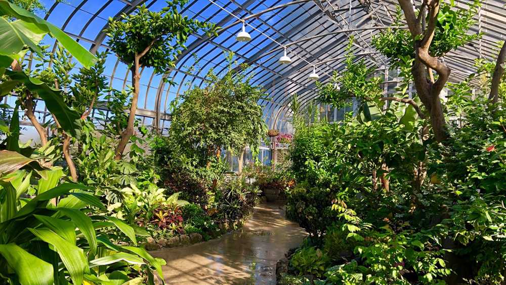 Anna Scripps Whitcomb Conservatory | Michigan