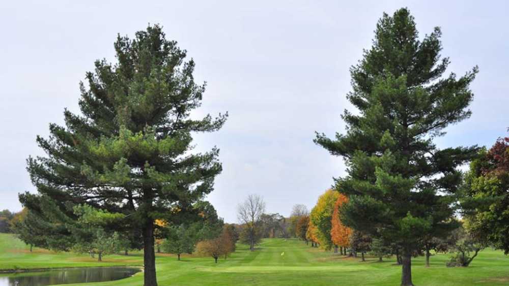 Bonnie View Golf Course | Michigan