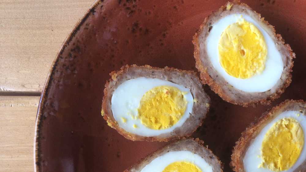 Two Hats Ranch | Michigan