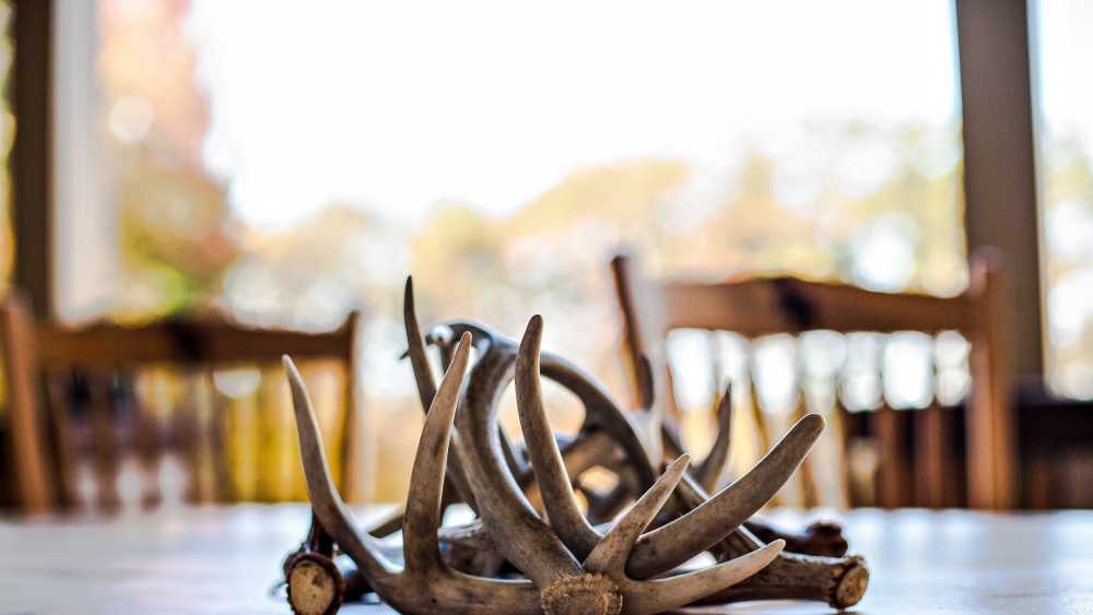 Two Hats Ranch | Michigan