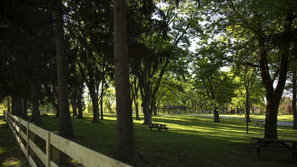 Sand Lake County Park | Michigan