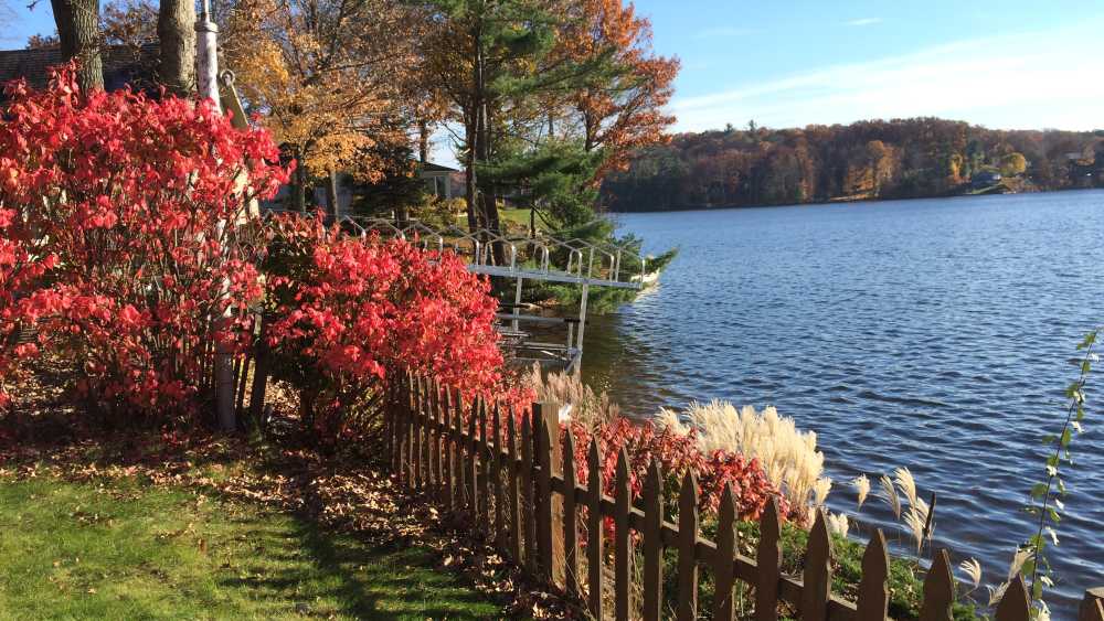 Alpine Resort | Michigan