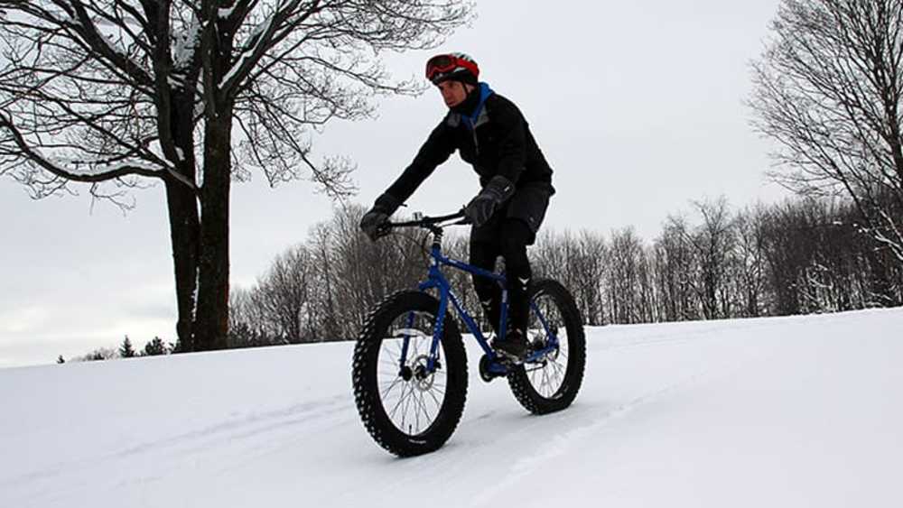 League Of Michigan Bicyclists Michigan