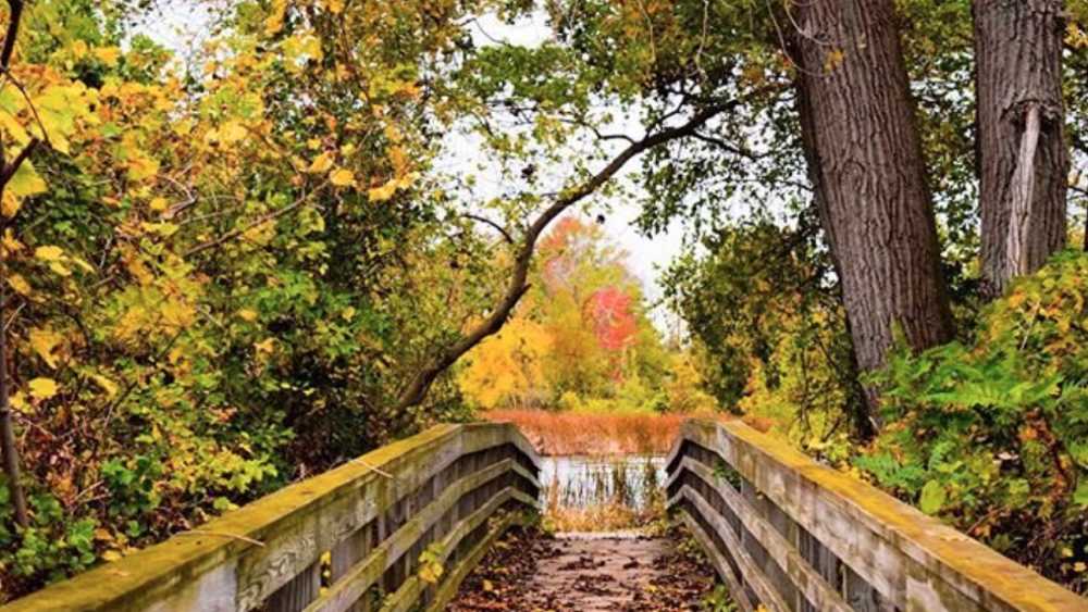 Bay City-Tobico Lagoon Trail | Michigan
