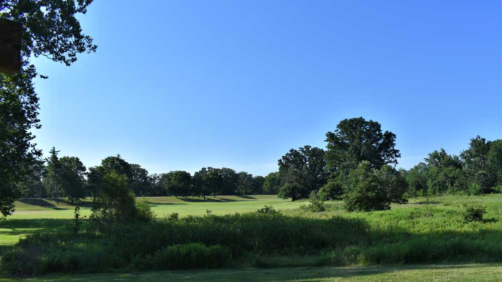 Johnson Park | Michigan