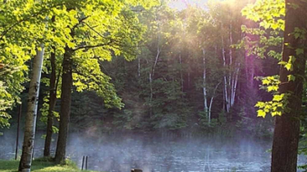 Miller Sanctuary at Birchview | Michigan