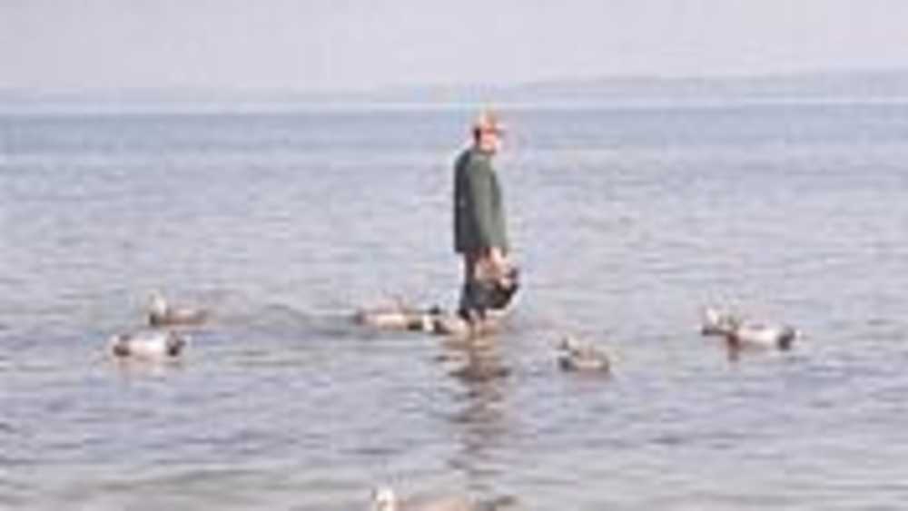 Sebewaing River Campground | Michigan