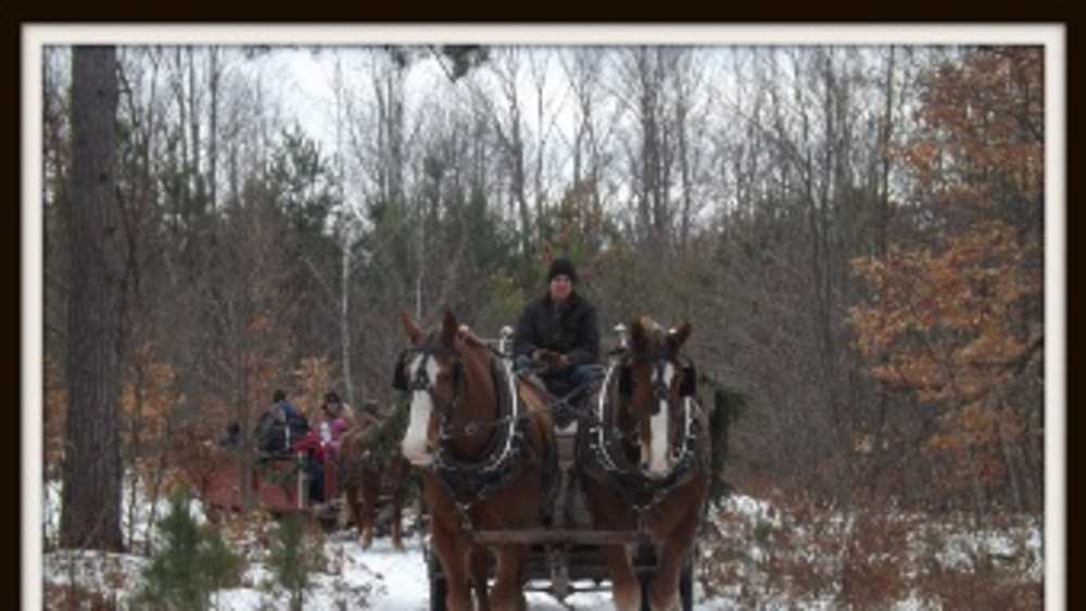 Cook Family Farm | Michigan