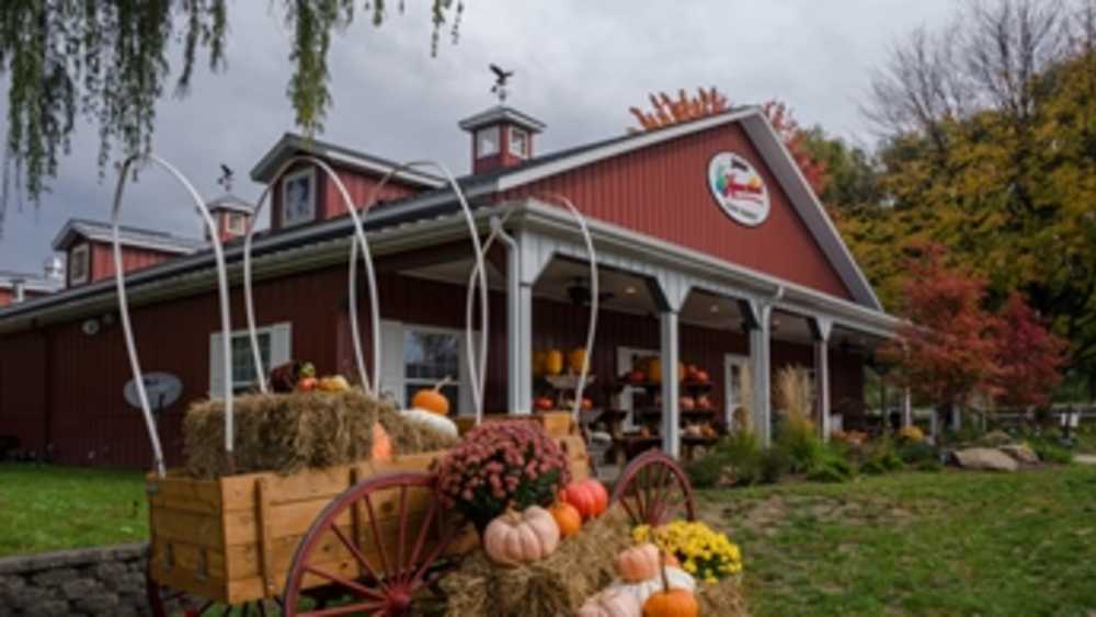 Stokes Homestead Farm Market | Michigan