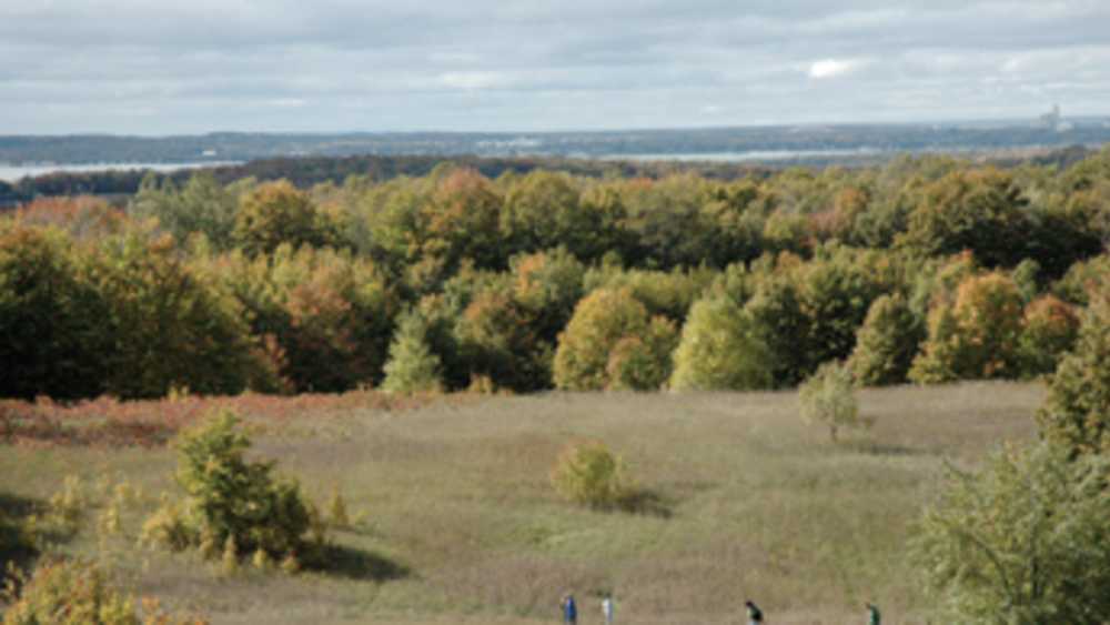 Charles A. Ransom Nature Preserve | Michigan