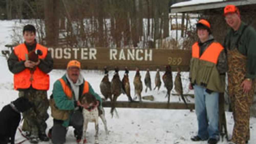 Rooster Ranch | Michigan