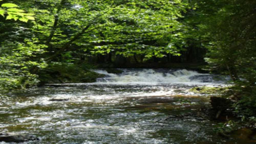Marion Lake Campground | Michigan