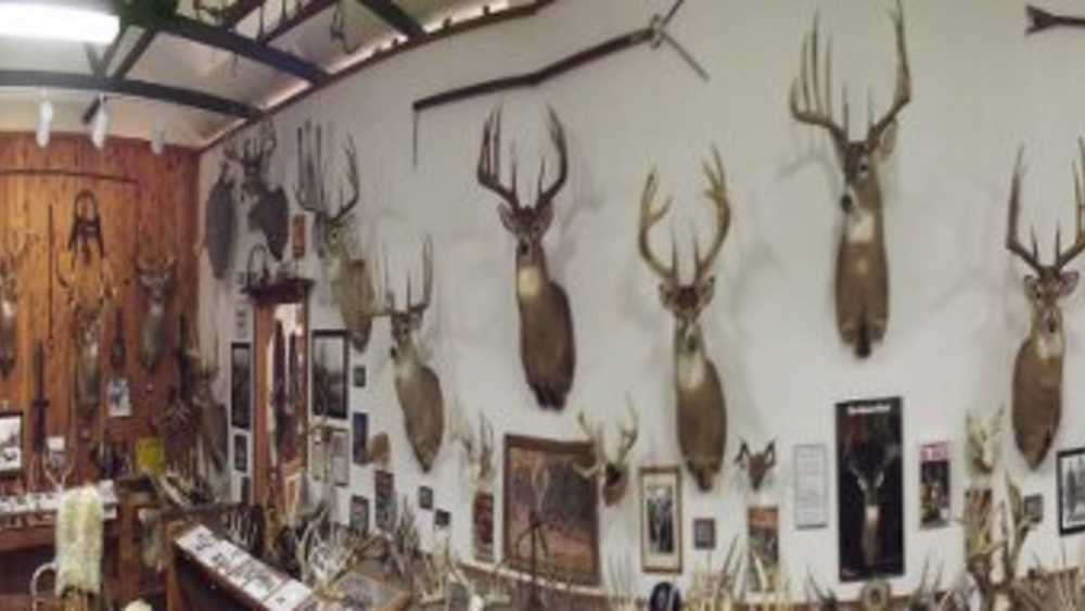 Michigan Whitetail Hall of Fame Museum | Michigan