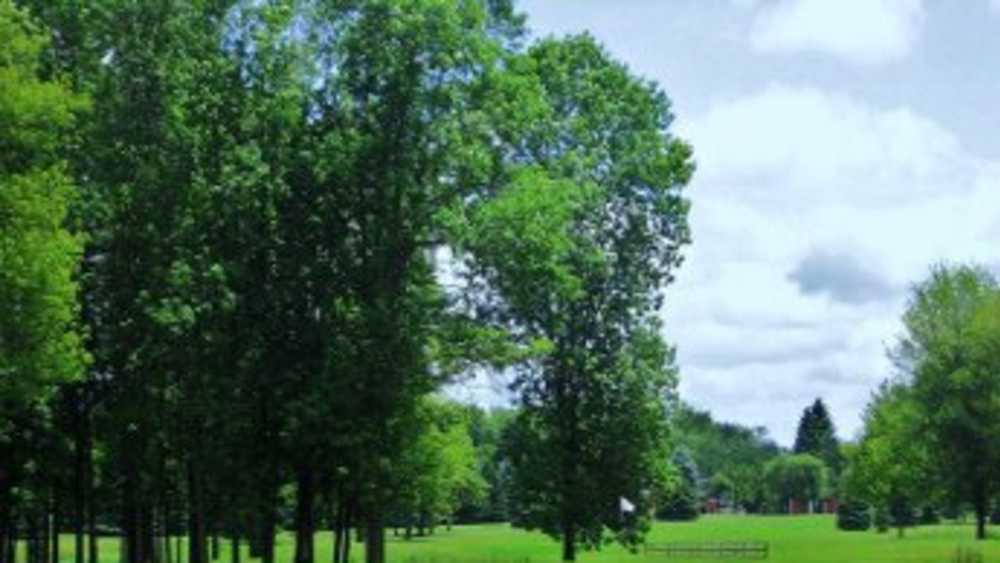 Crestview Golf Club | Michigan