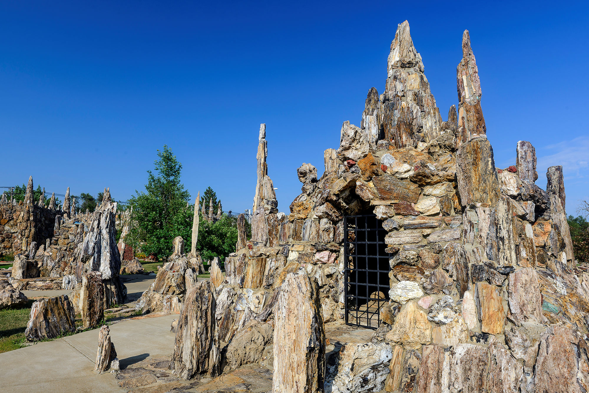 Home & Living Large Rare South Dakota Petrified Wood Rocks & Geodes ...