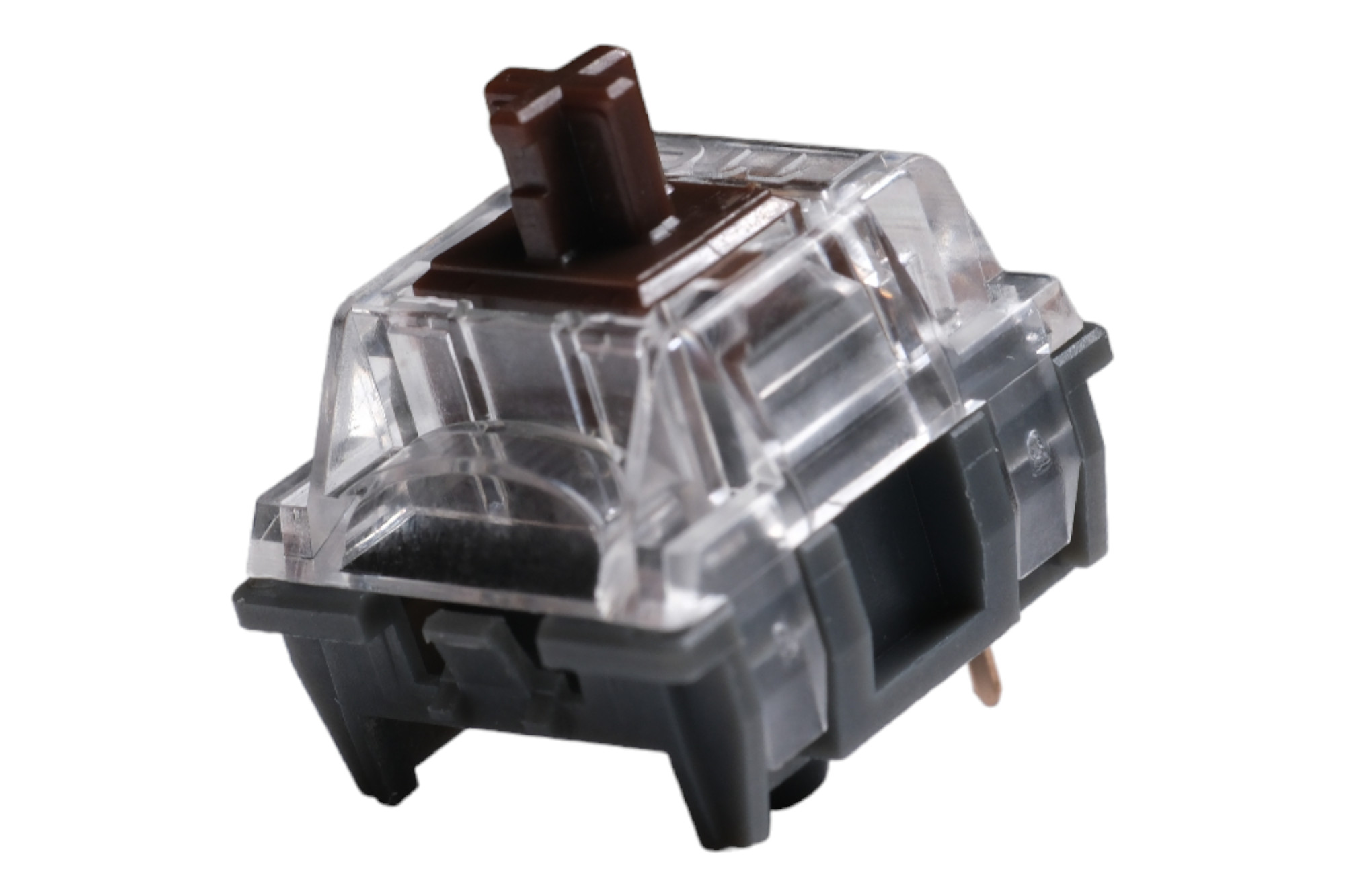 TTC Gold Brown Pro Tactile Switch · Milktooth