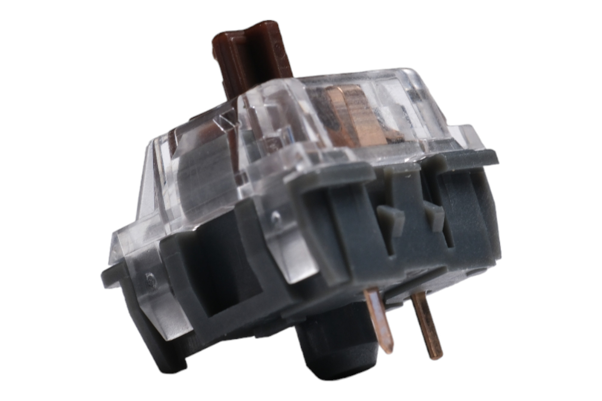 TTC Gold Brown Pro Tactile Switch · Milktooth