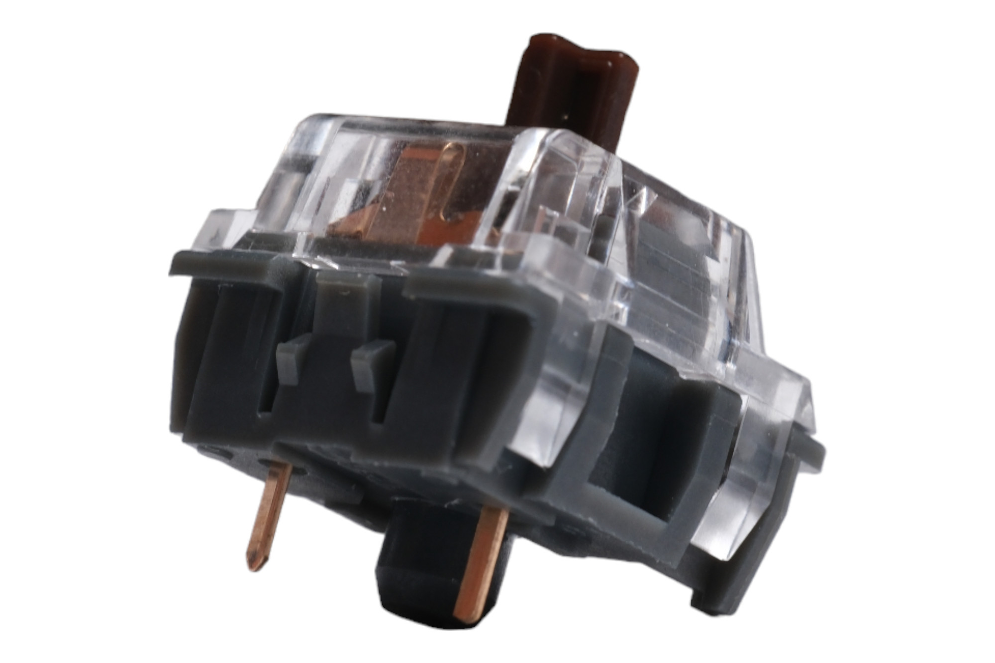 TTC Gold Brown Pro Tactile Switch · Milktooth