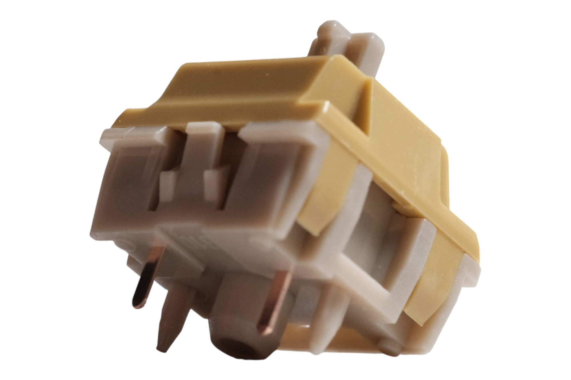 Akko Bittersweet Tactile Switch · Milktooth