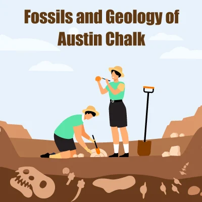 Austin Chalk: A Hidden Gem in Oil and Gas Exploration