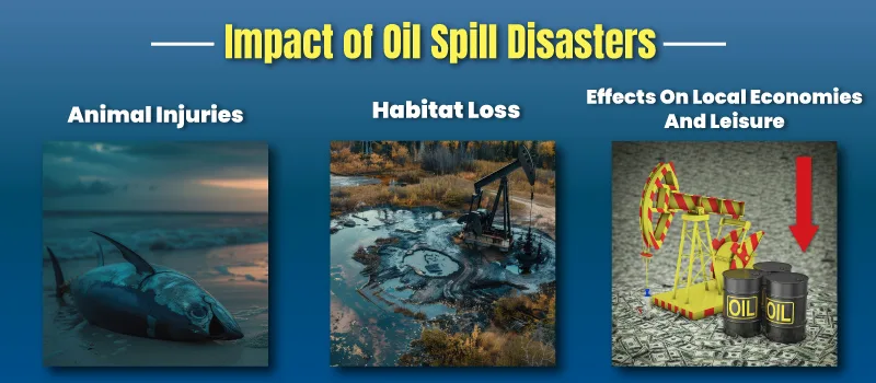 Oil Spill Disasters: Causes & Impact
