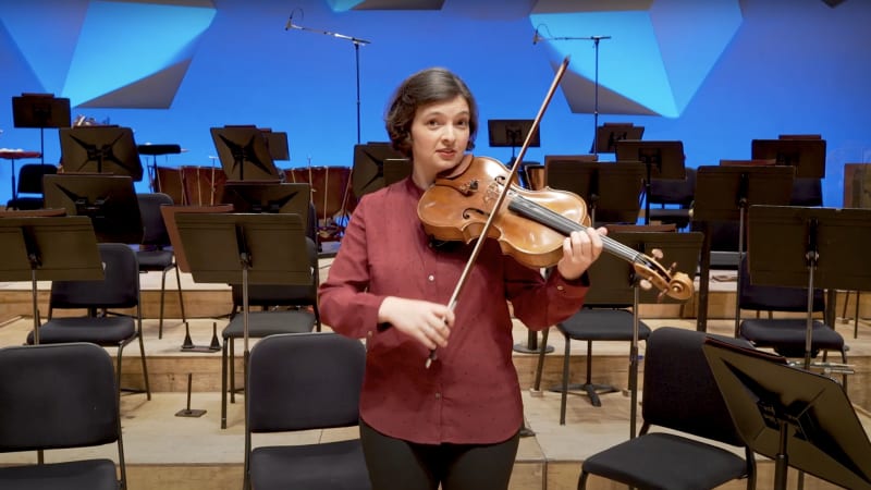 Viola - Minnesota Orchestra