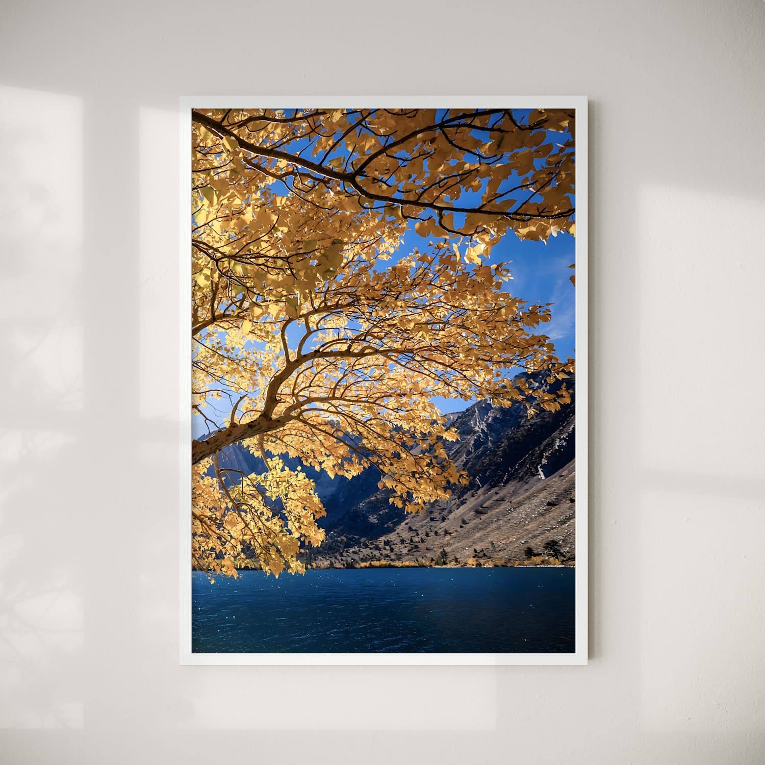 Mixtiles - Turn your photos into affordable, stunning wall art