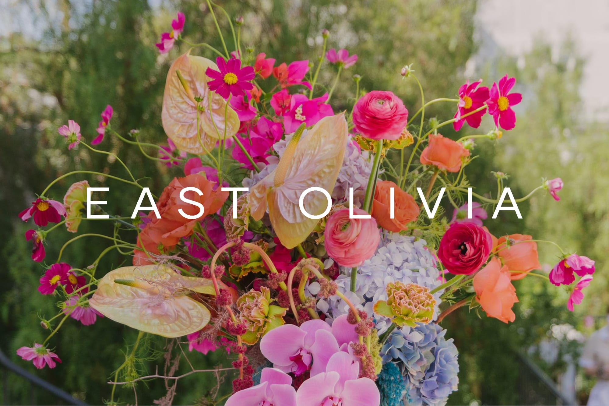 Plant Joy: M.M.LaFleur x East Olivia